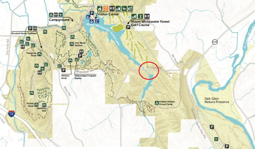 Miami Whitewater Forest--Strimple Rd. - Hamilton, Ohio, US - Birding ...
