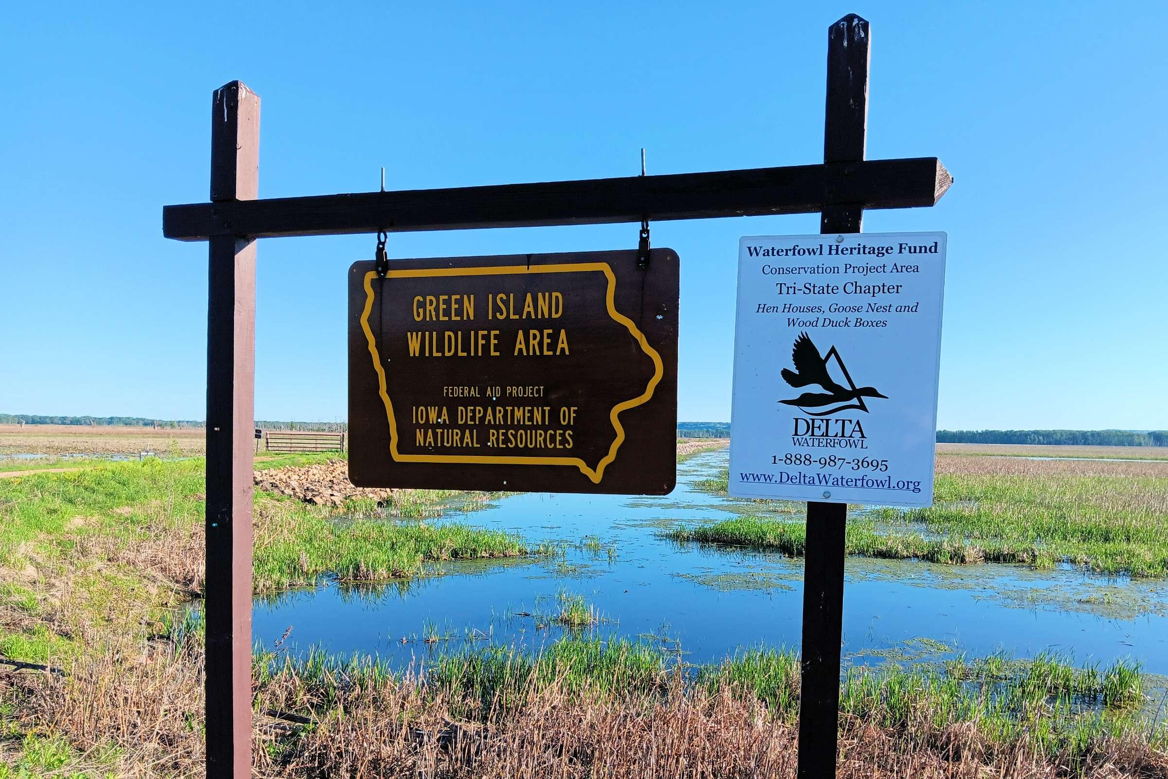 Green Island WMA - Jackson, Iowa, US - Birding Hotspots
