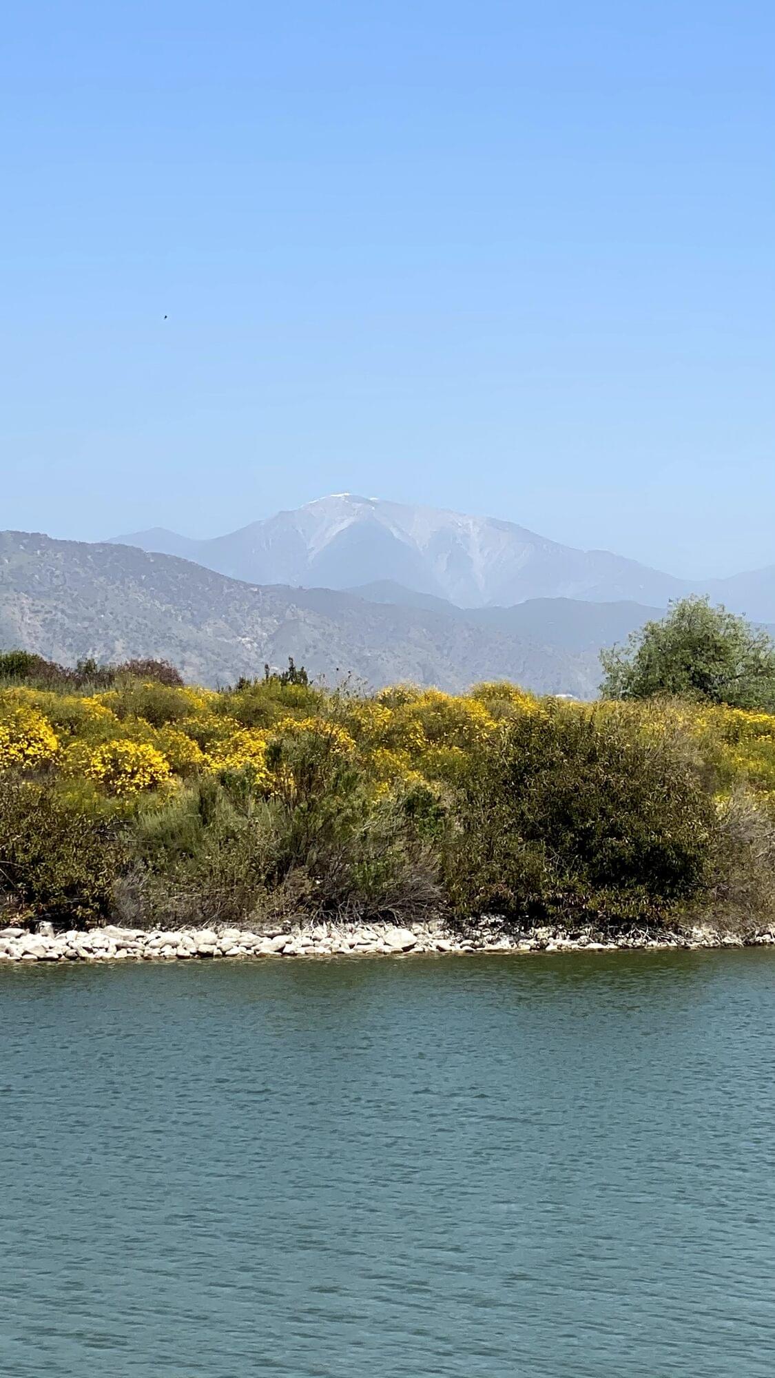 Santa Fe Dam Rec. Area - Los Angeles, California, US - Birding Hotspots