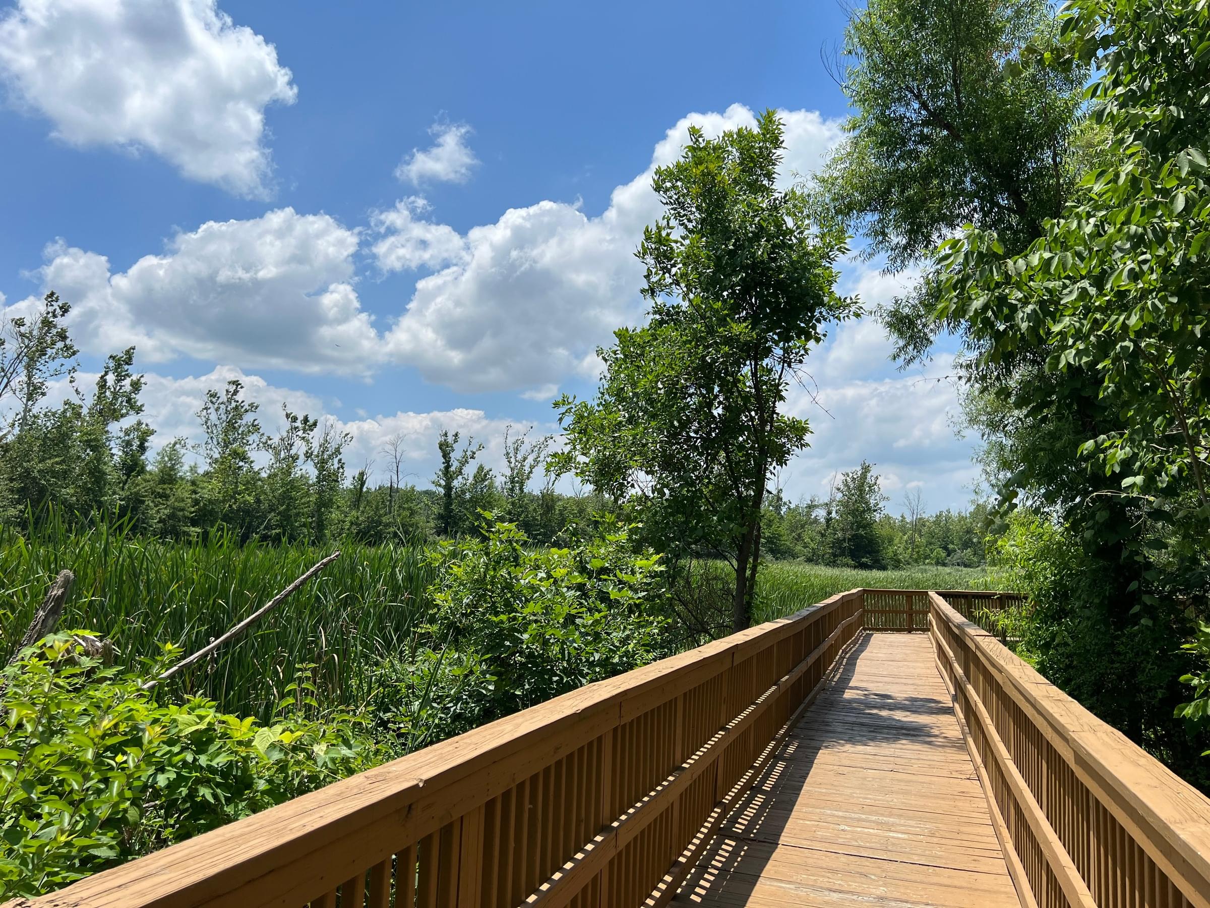Boardwalk Springs Park - St. Charles, Missouri, US - Birding Hotspots
