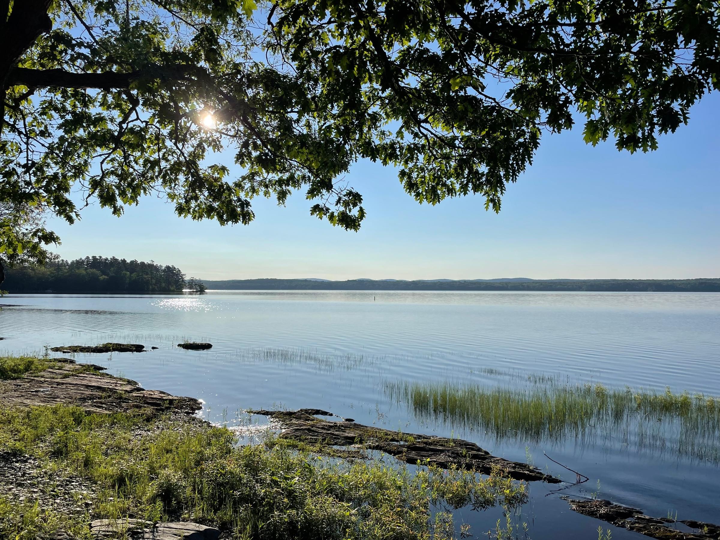 Unity Pond - Waldo, Maine, US - Birding Hotspots