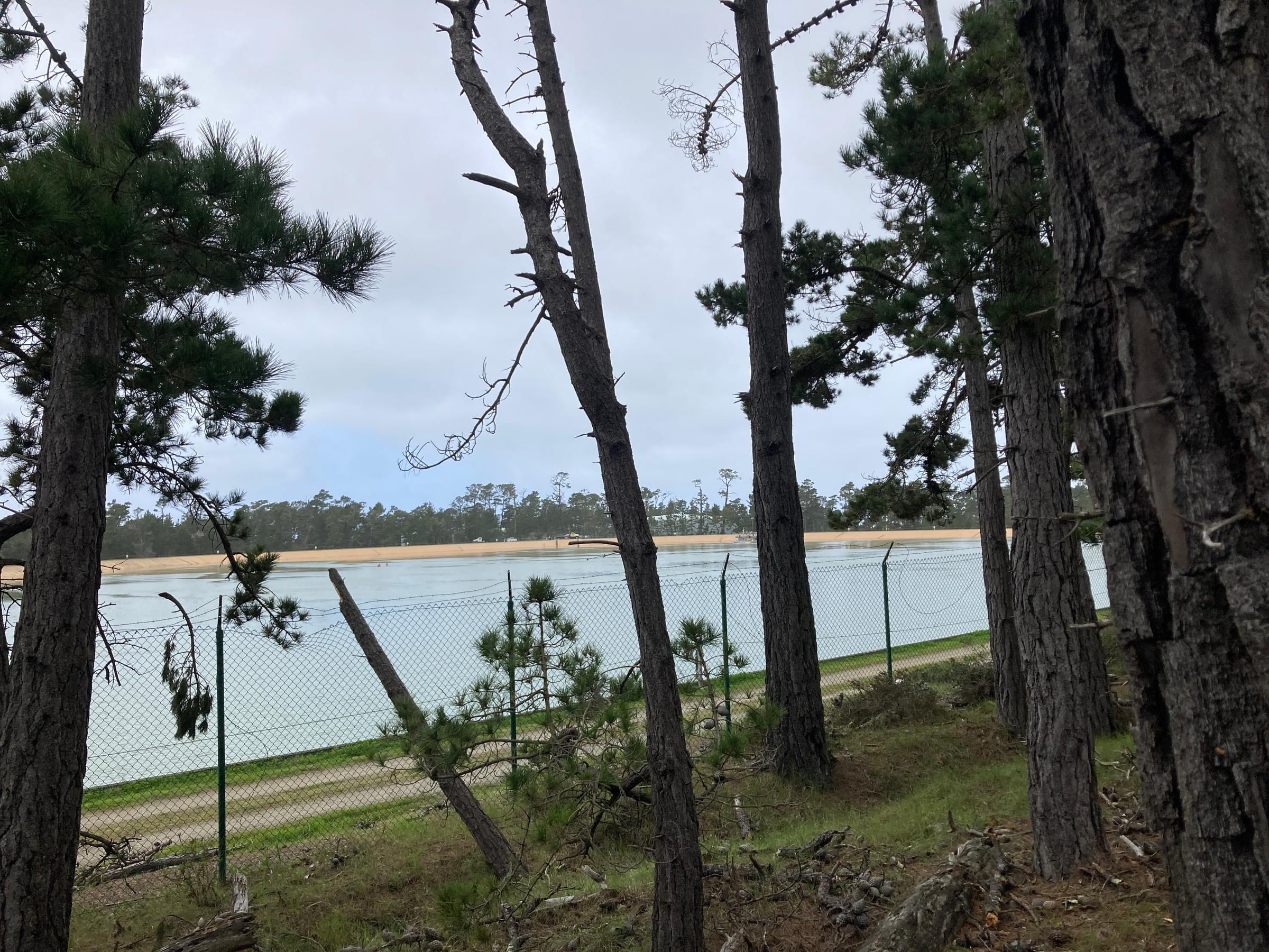 Del Monte Forest--Forest Lake - Monterey, California, US - Birding Hotspots