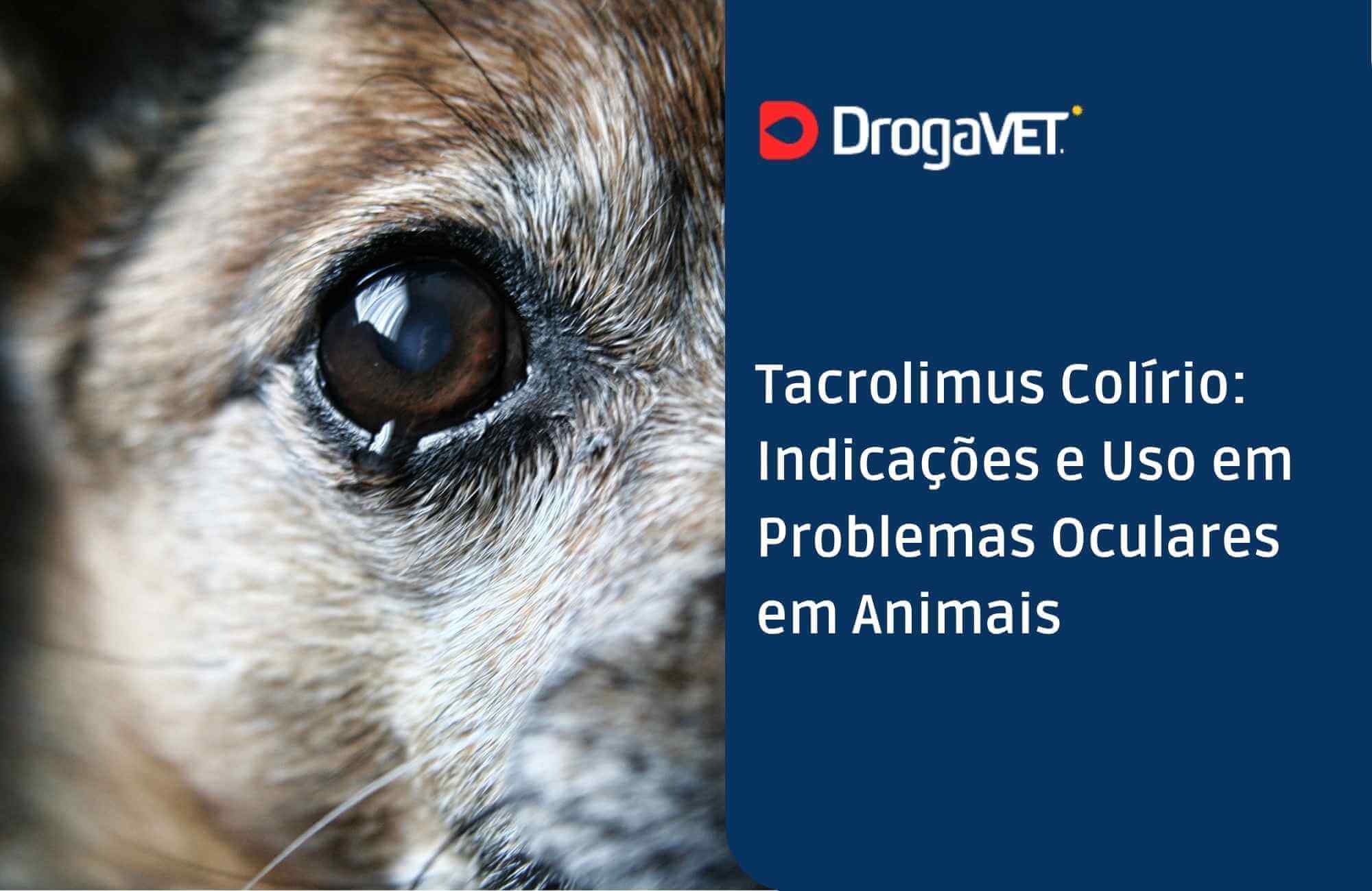 Tacrolimus Colírio: Indicações e Uso em Problemas Oculares em Anima...