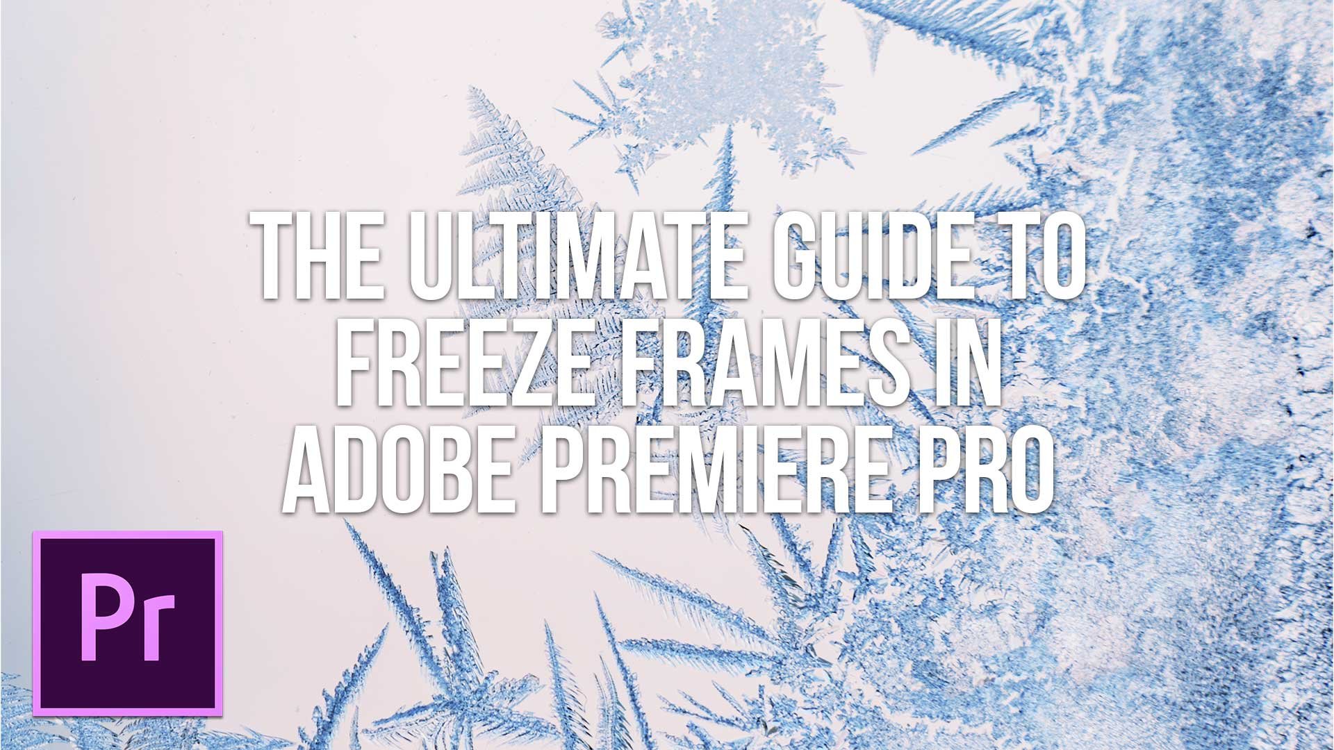 The Ultimate Guide to Freeze Frames in Adobe Premiere Pro