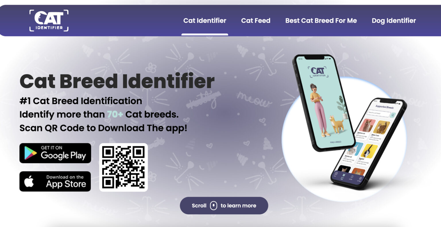 Cat Identifier: Instantly Recognize Cat Breeds