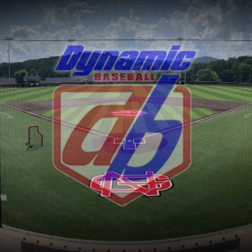 Tournaments - Dynamic Baseball