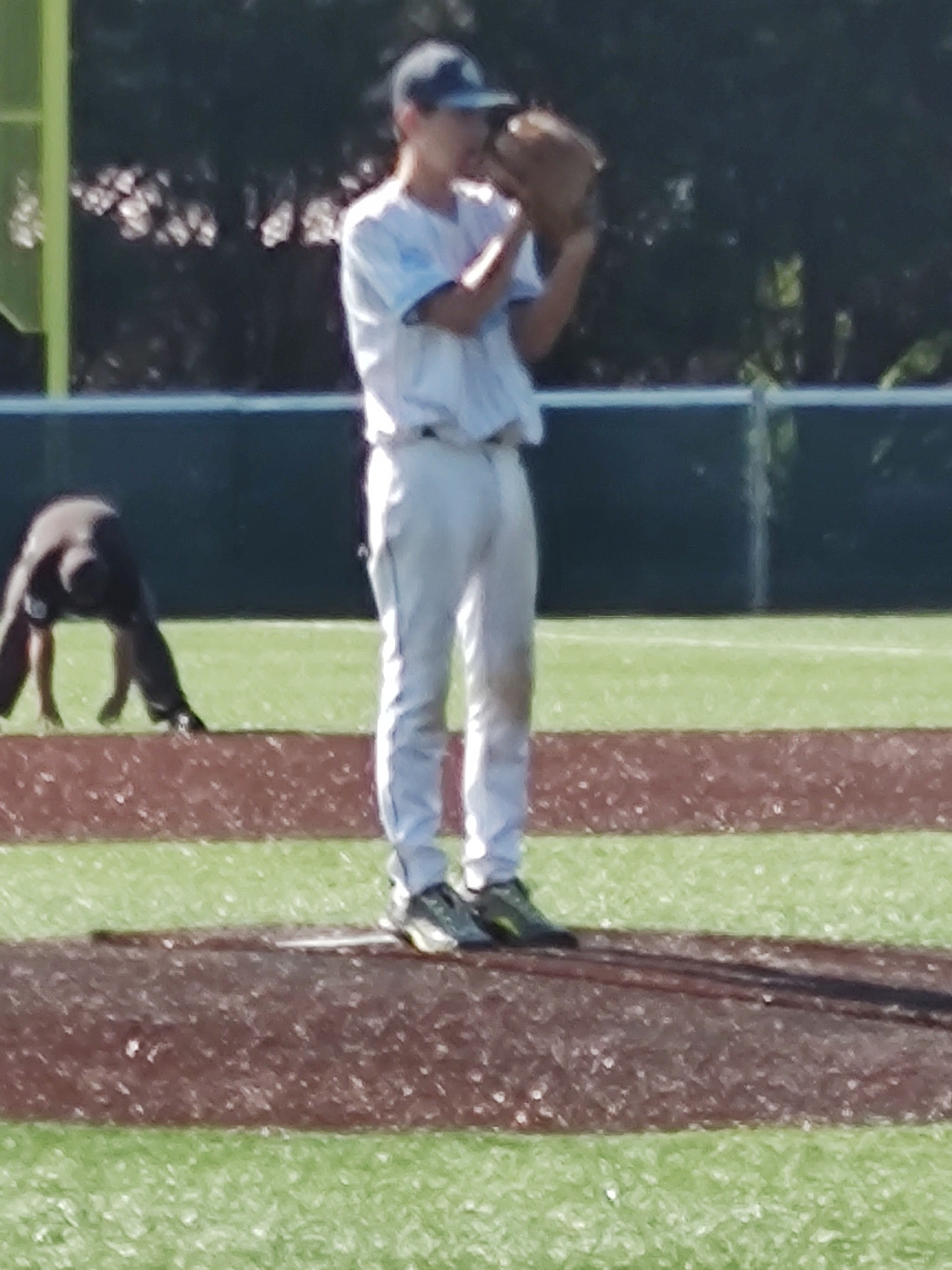 Lucas Gengler Baseball Player Profile | Dynamic Baseball